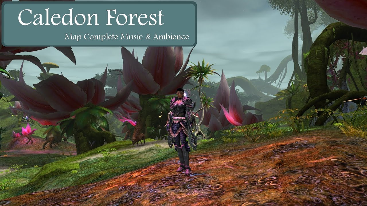 Caledon Forest - Map Complete - Music & Ambience (no commentary) - YouTube