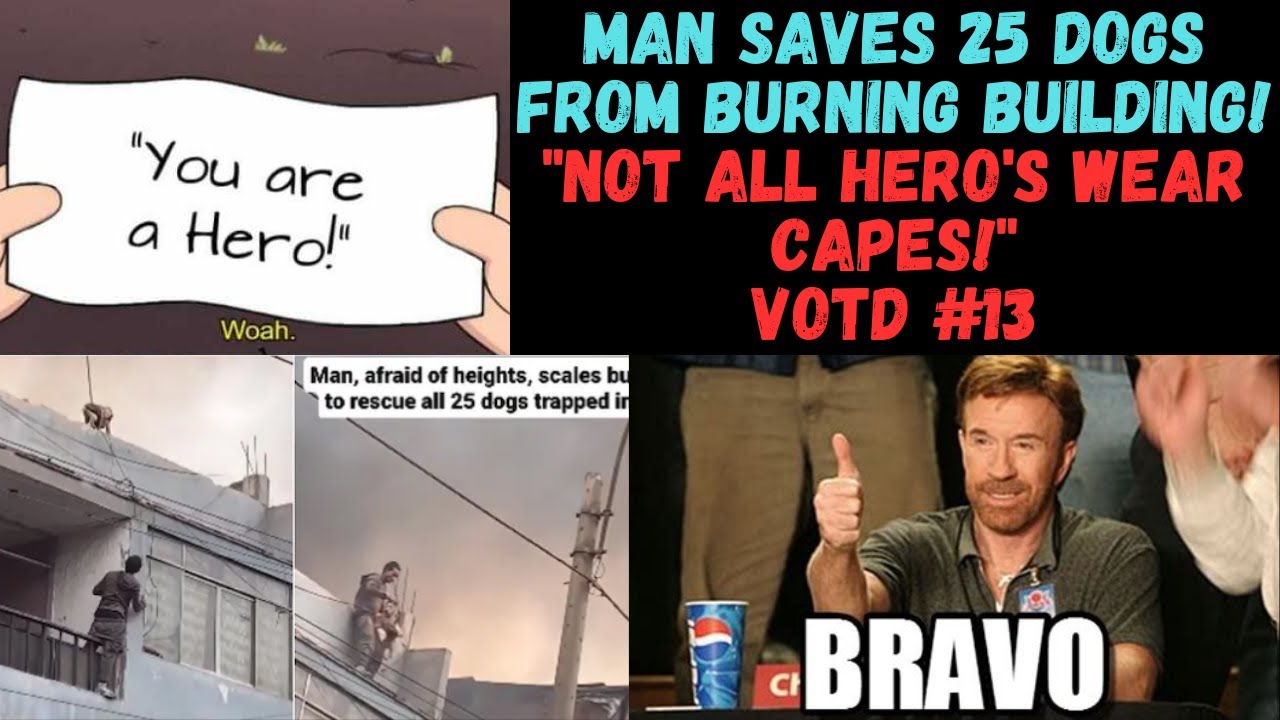 Hero Saves 25 DOGS from Burning Building! VOTD #13 - YouTube