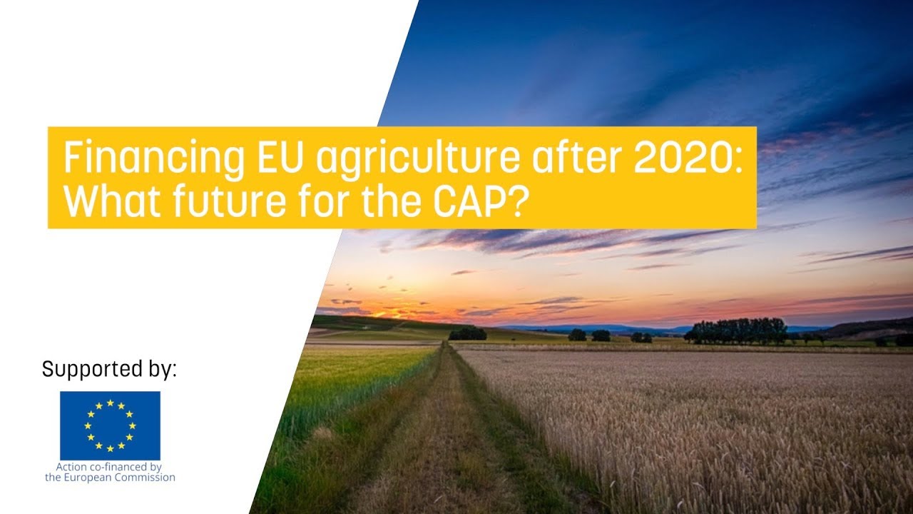 Financing EU agriculture after 2020: What future for the CAP? - YouTube