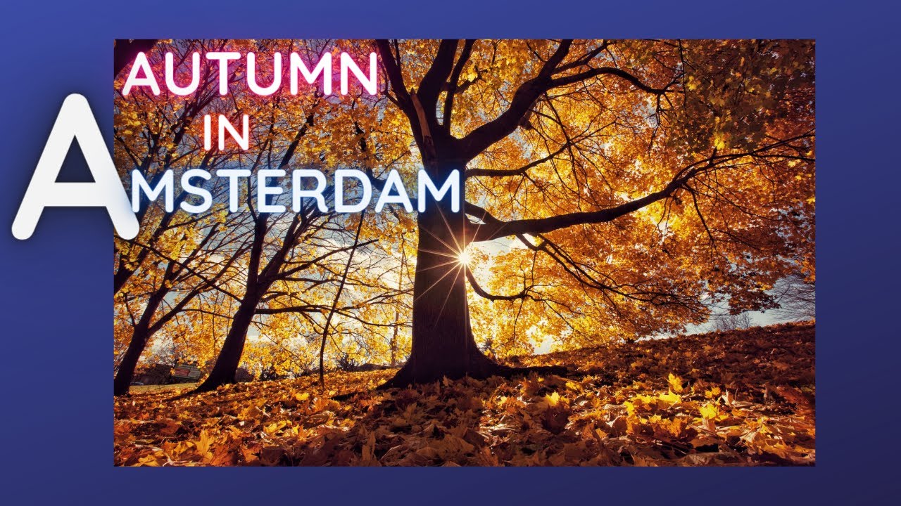 AUTUMN | FALL 2021 AMSTERDAM THE NETHERLANDS [4k] - YouTube