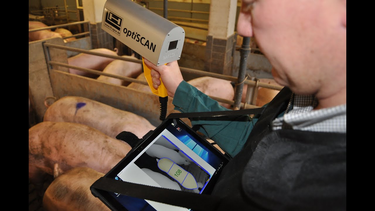 mobile pig-weighing device | H+L - YouTube