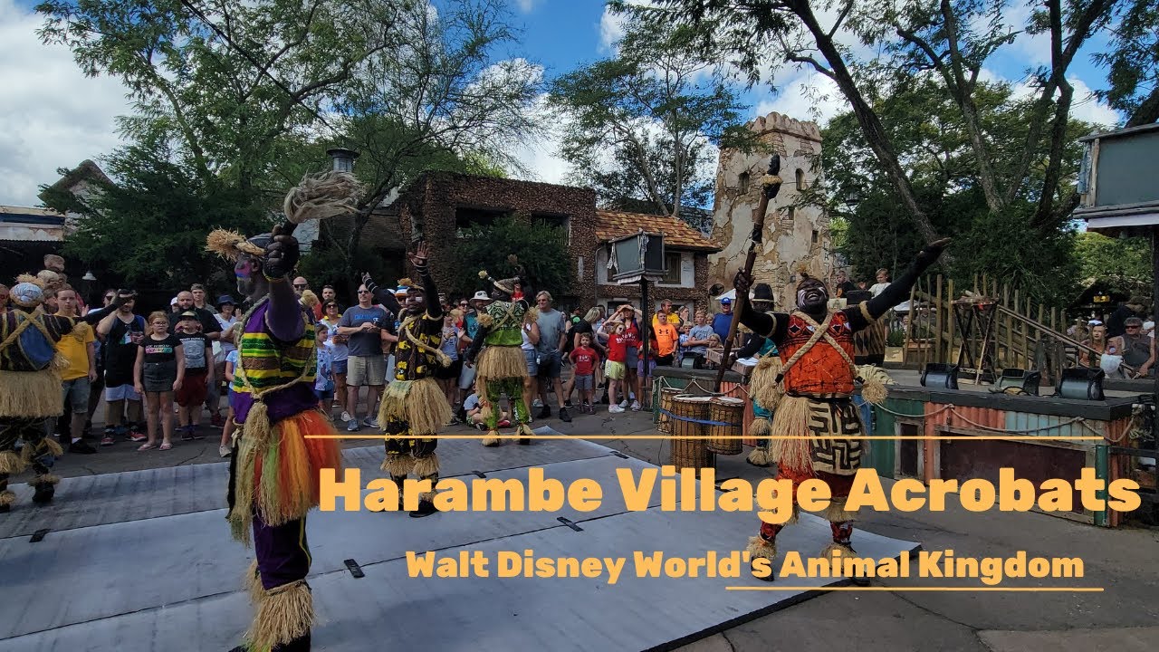 Walt Disney World - Animal Kingdom's Harambe Village Acrobats - Dance ...