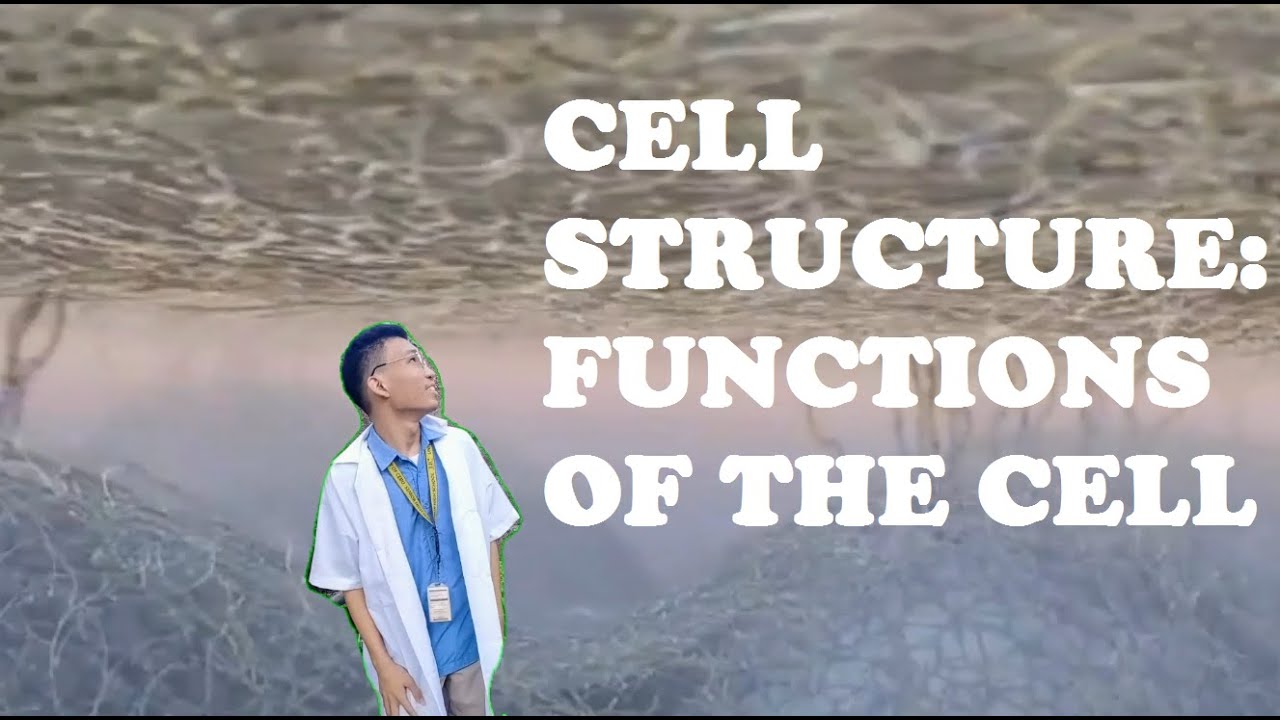 Bio1 MV | Cell Structure: Functions of the Cell | Group 2 - YouTube