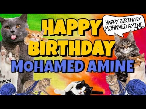 Happy Birthday Mohamed Amine! Crazy Cats Say Happy Birthday Mohamed Amine (Very Funny)