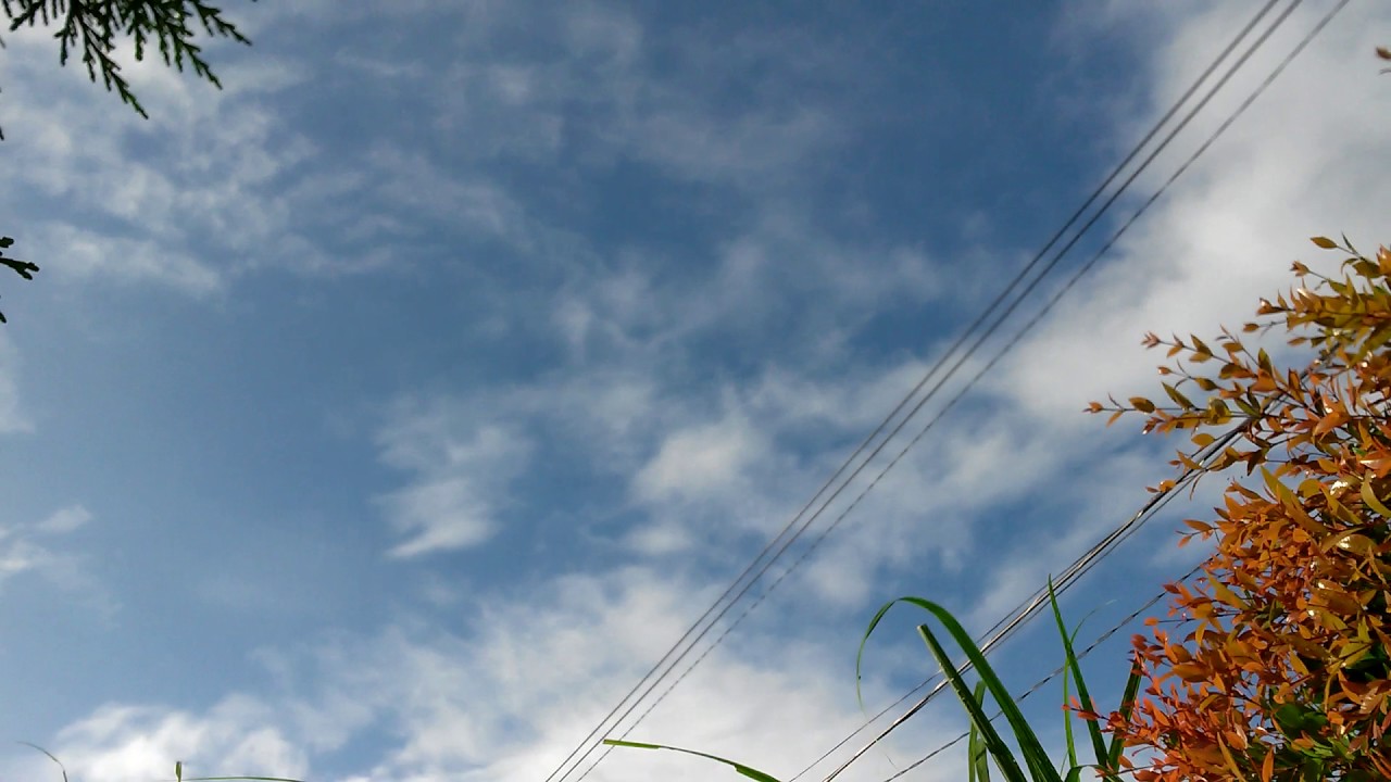 December 21, 2016 - YouTube