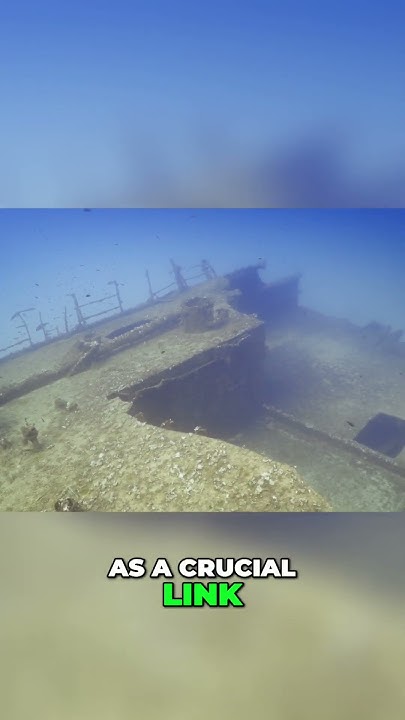 Shipwreck Secrets: Exploring the History, Tragedy, and Marine Life ...