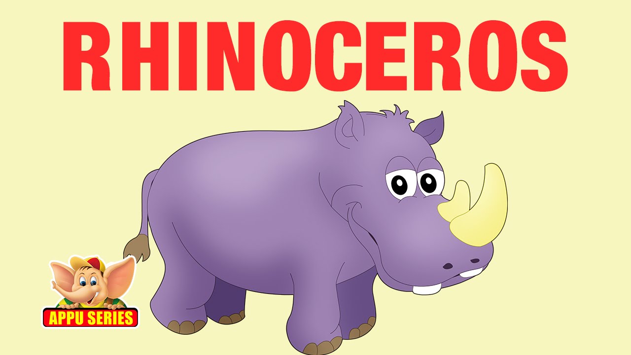 Animal Facts - Rhinoceros - YouTube