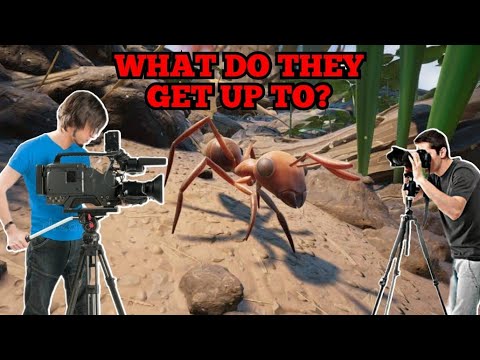 A Day In The Life Of A Red Ant - Grounded - YouTube