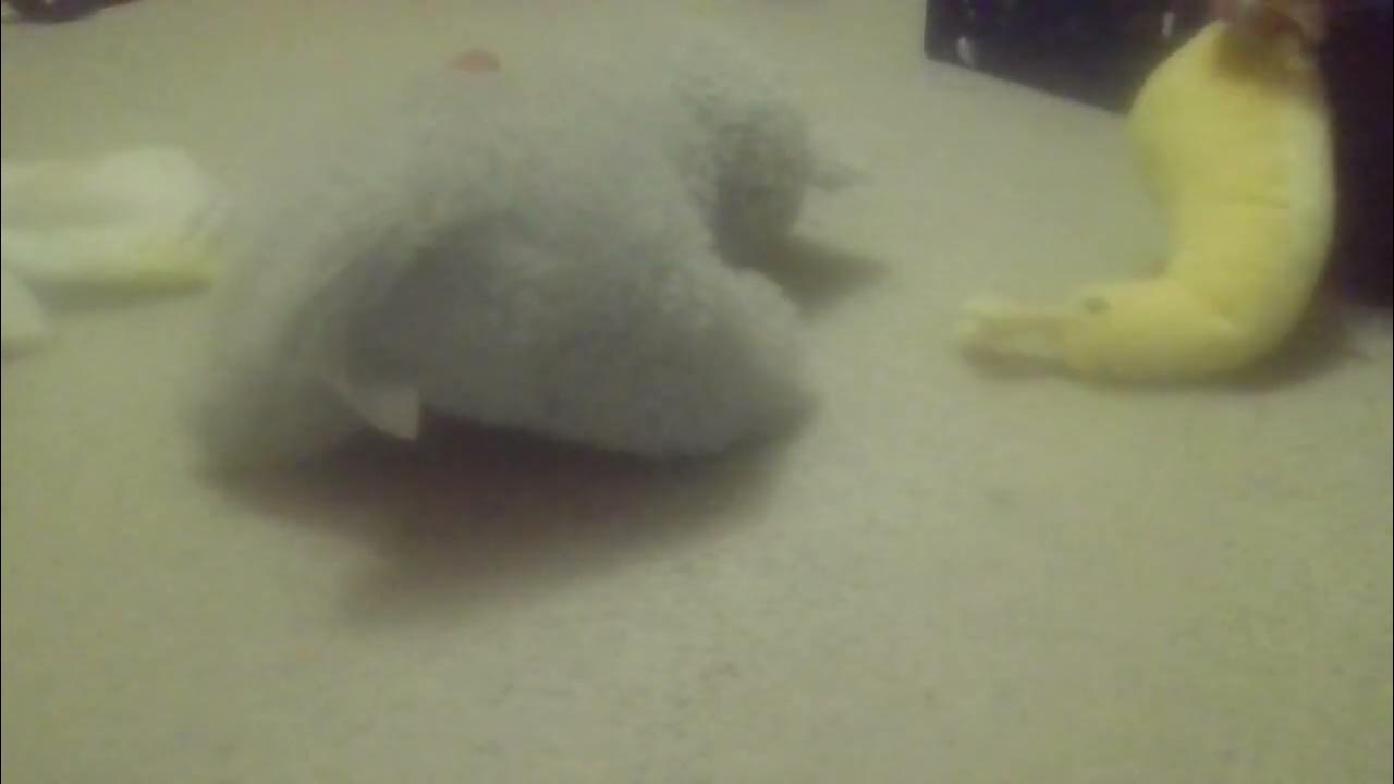 SABA 3a cooking contests - YouTube