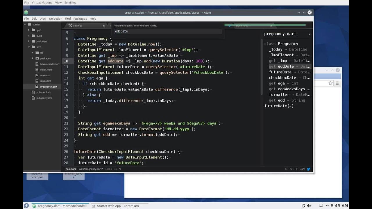 Dart Web Programming for Beginners: 23 Improving the Pregnancy Calculator - YouTube