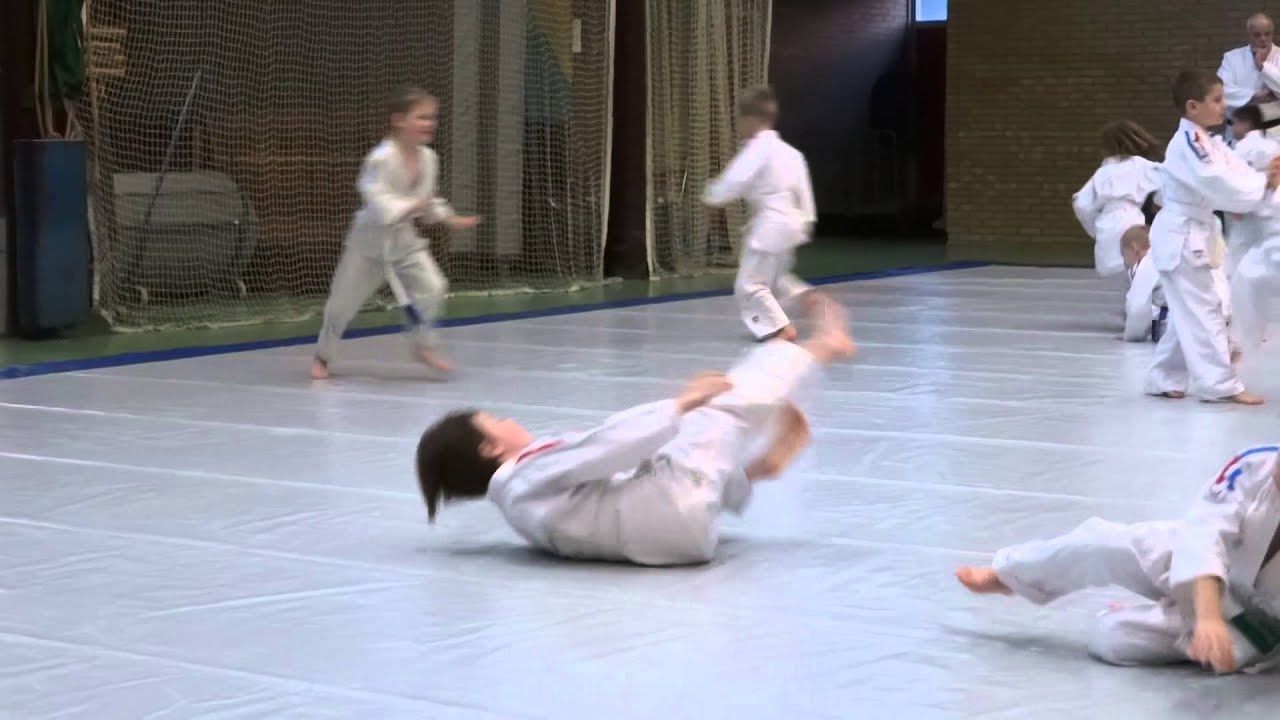 Judo Robin - YouTube