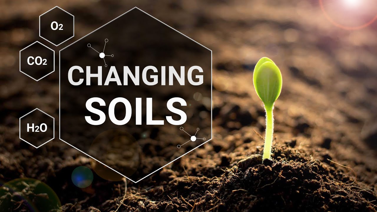 Changing Soils: Praying Like A Disciple Maker - YouTube
