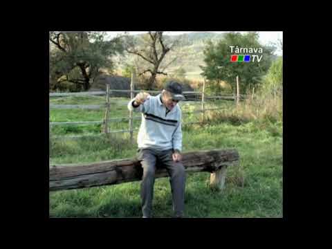 CIPRIAN ISTRATE-la Moara din Seleus(Danes) - YouTube