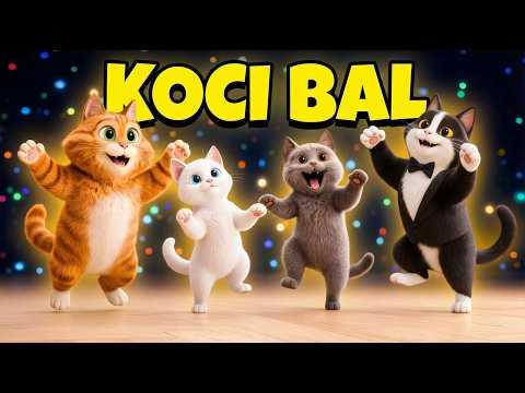 KOCI BAL - Piosenka o kotach na DZIEŃ KOTA