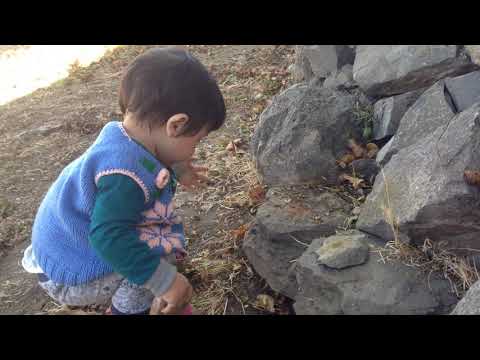 qizil kilse borcali abdullahxan