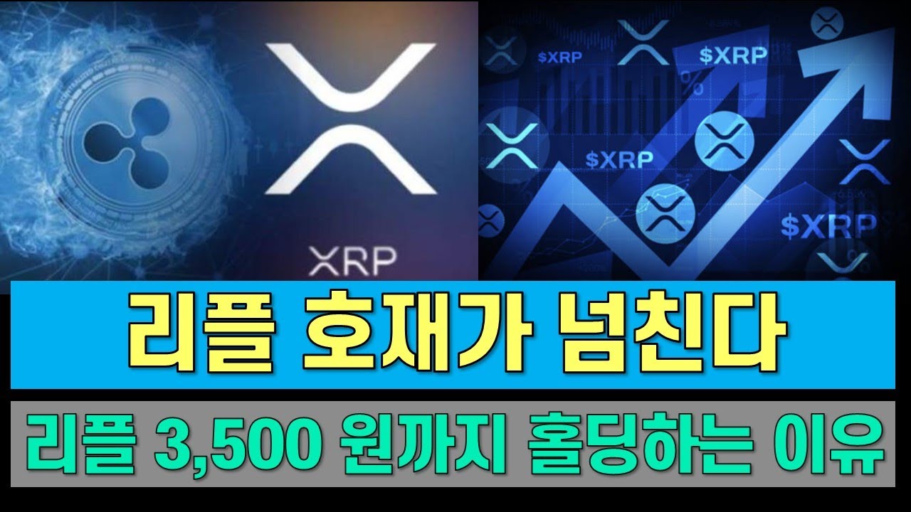 리플 대형 호재 리플 가격 전망 리플 스테이블코인 Rlusd 리플 현물 Etf 리플 Etf 리플 Rwa Xrp 리플 비트코인 이더리움 리플 솔라나