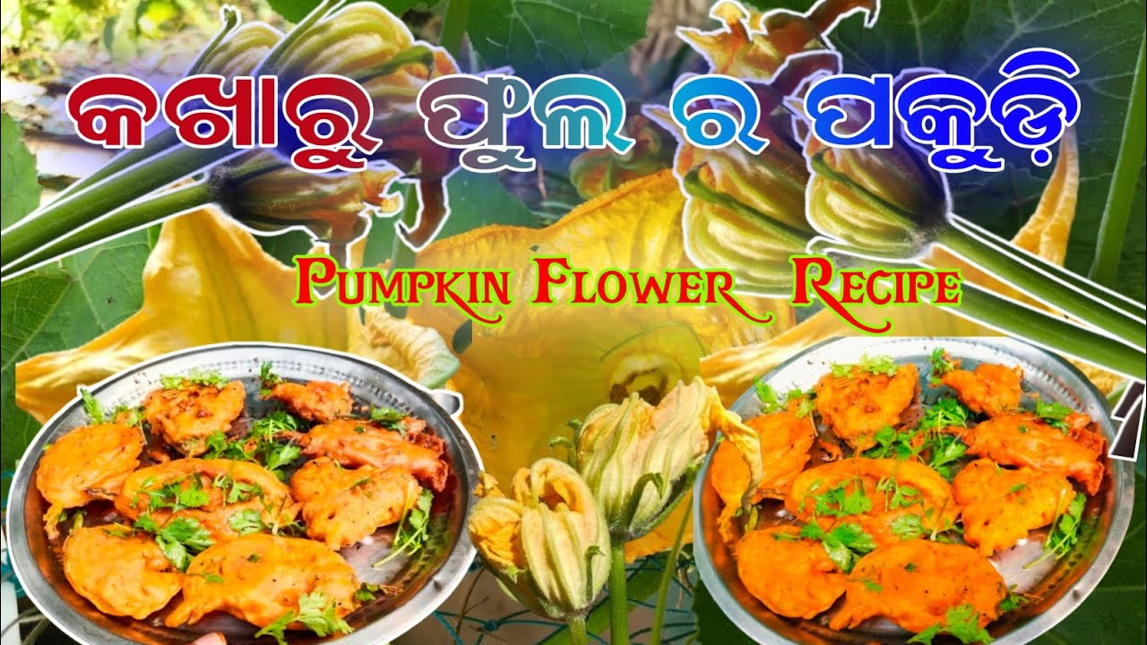 कद्दू फूल का पकौड़ी | କଖାରୁ ଫୁଲର ପକୁଡି | Pumpkin flower Fried Recipe ...
