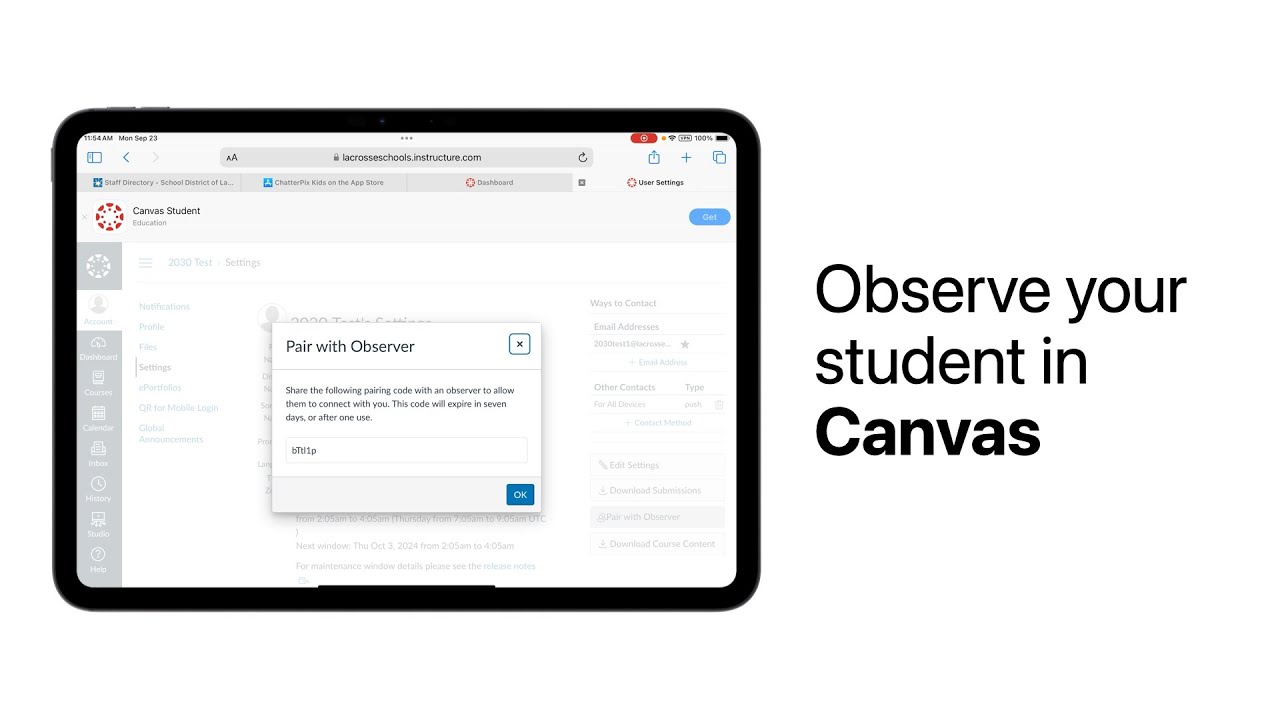Observing A Student in Canvas - YouTube