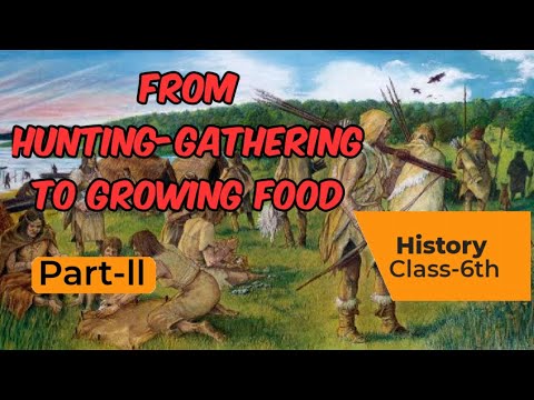 From Hunting-Gathering to Growing food l Part-ll l Class-6th I NCERT ...