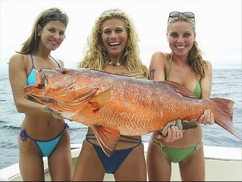 Woow, Cewek sexy Mancing Dapat Ikan Raksasa