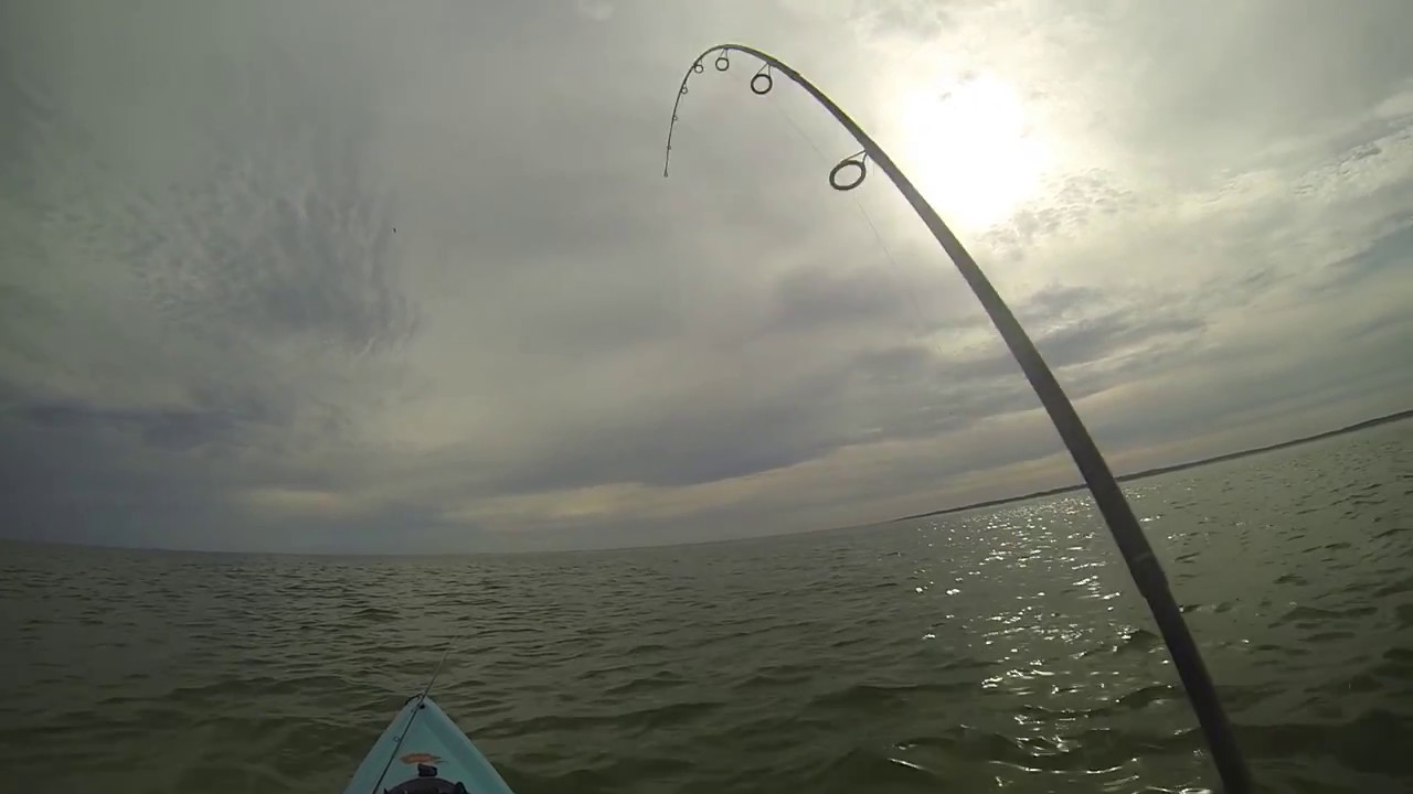 Kayak Fishing On The Flats With Sluggos and Stripers 2017 - YouTube