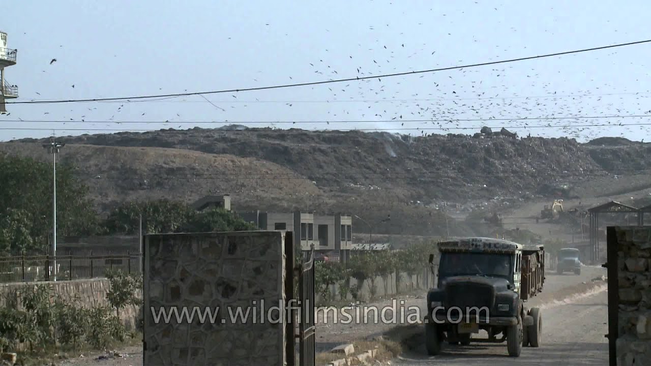The garbage dump of Ghaziabad, near Delhi - YouTube