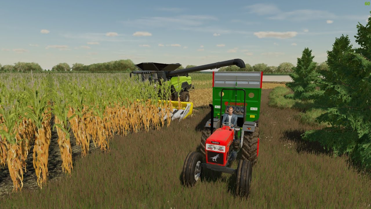 28 ACER FILED CORN HARVESTING WITH FENDT HARVESTER FOREST RIVER FARM ...