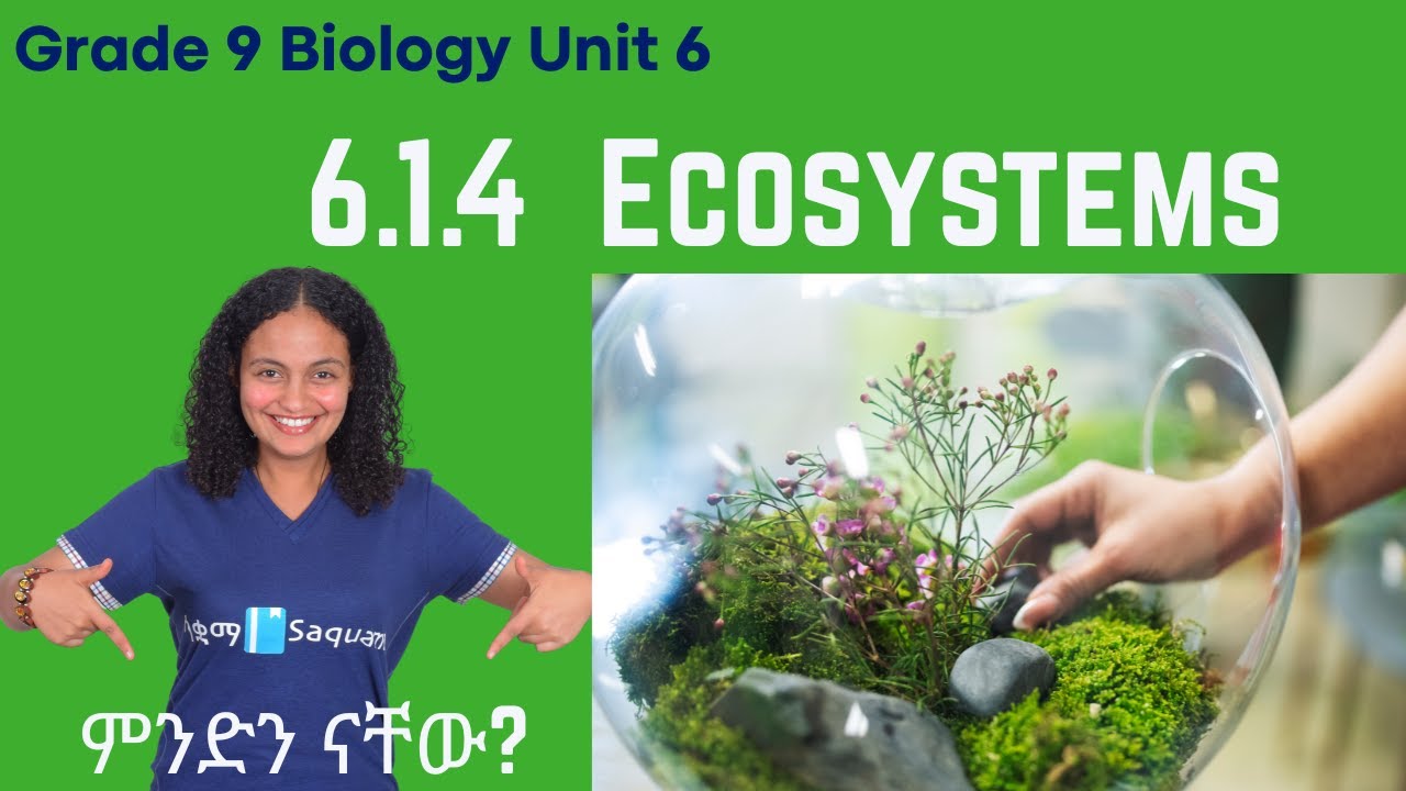 Grade 9 Biology Unit 6: 6 .1. 4 Ecosystems | Saquama - YouTube