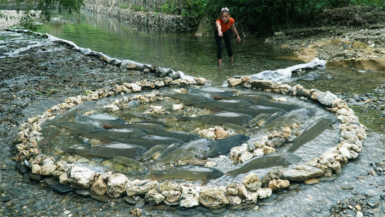 How To Trap Fish Simple And Most Effective With Stones Stream ...