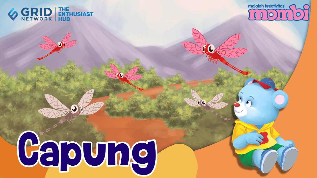Belajar dan Mengenal Hewan Capung - YouTube