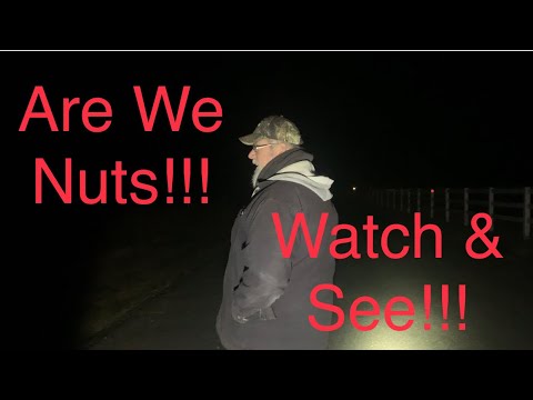 What Were We Thinking???? Are We Nuts!!! - YouTube