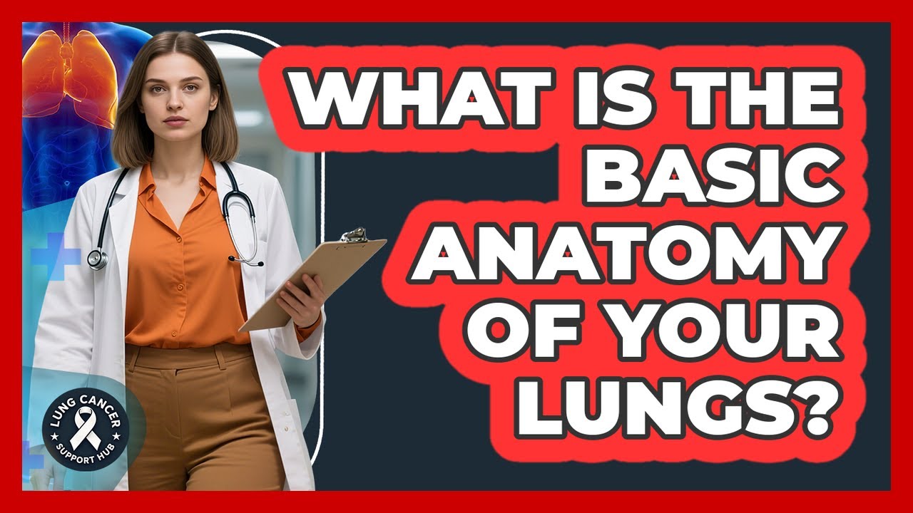 What Is The Basic Anatomy Of Your Lungs? - Lung Cancer Support Hub ...