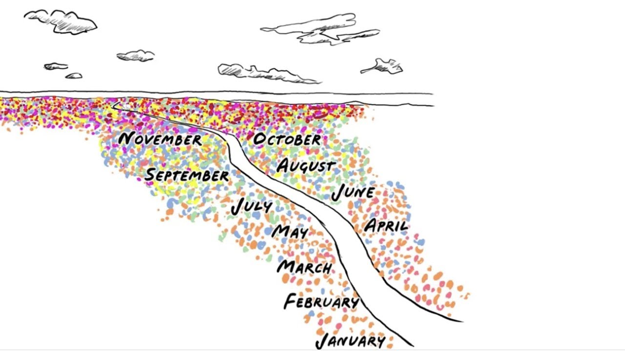 Stanford Seed Transformation Program Explained - YouTube
