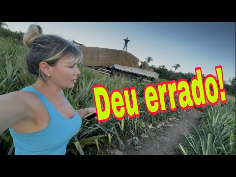 Não deu certo a carga! Fiquei! 