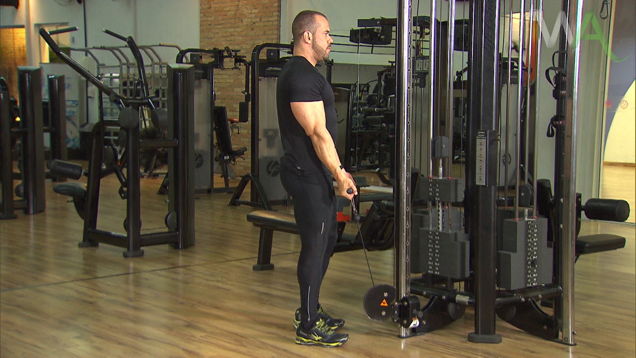 ROSCA BÍCEPS NA POLIA BAIXA - YouTube