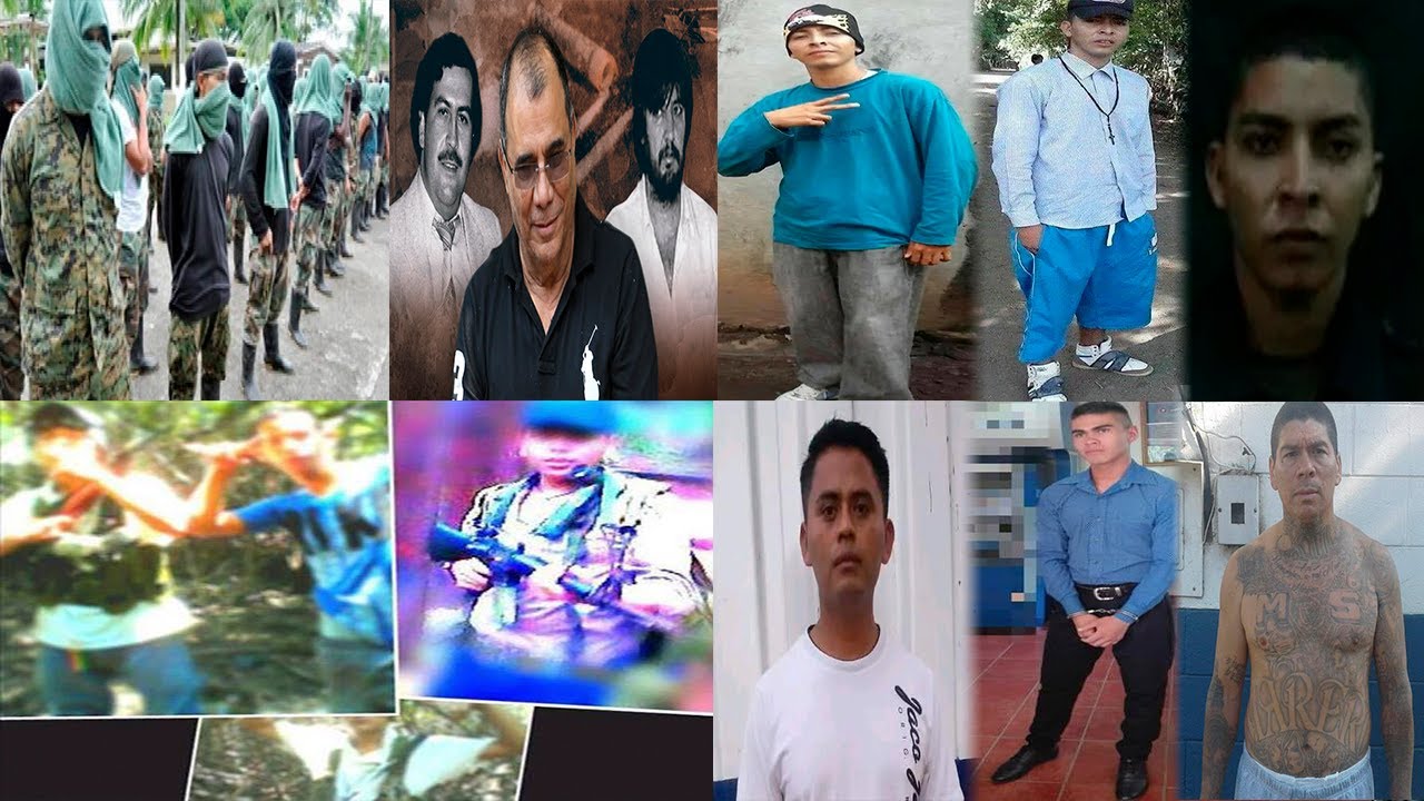 sicarios de texis pandilleros M 16 y AK 47 infiltrado como agente de la ...