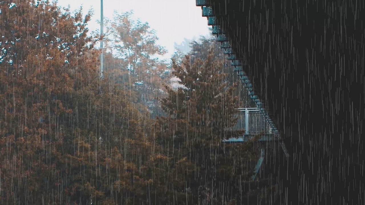 Strong Rain Around metal roof house at day - Heavy Rain for Sleeping ...