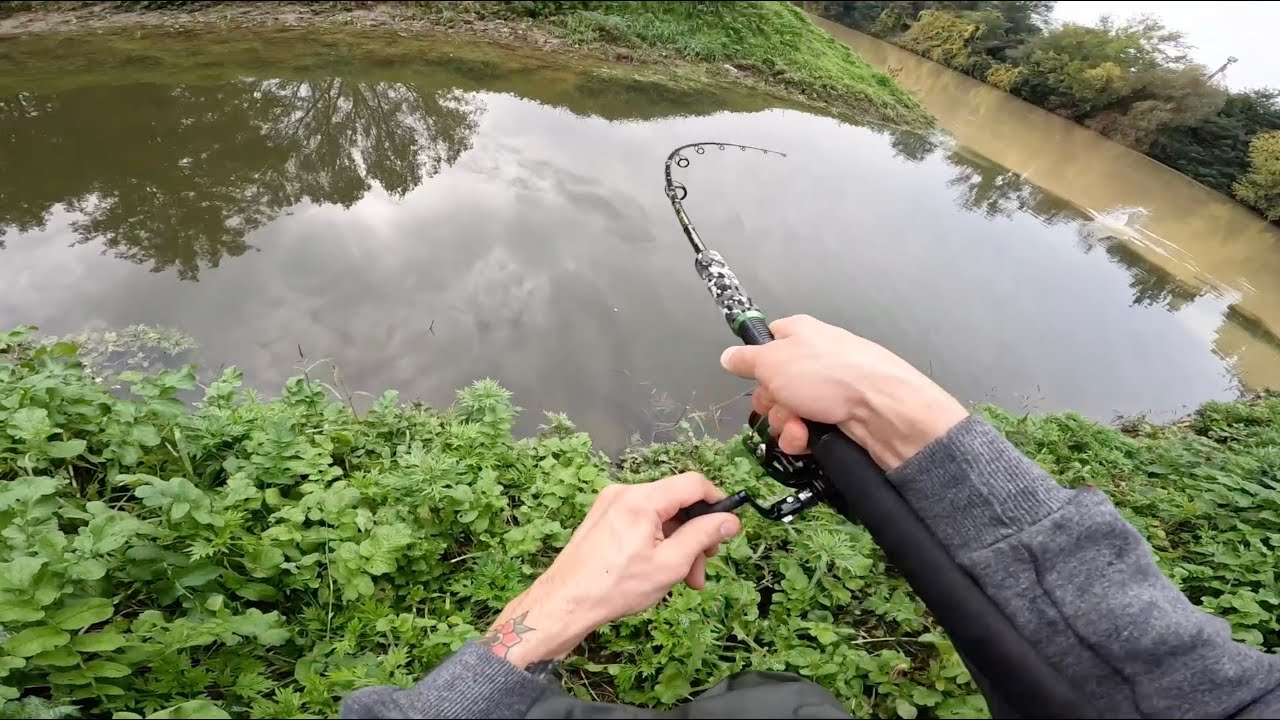 Siluro Fishing...#fishing #spining #catfish #bigfish #wildfishing - YouTube