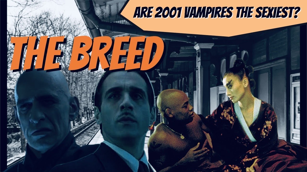 Is The Breed as Sexy as Other 2000s Vampire Films? - YouTube