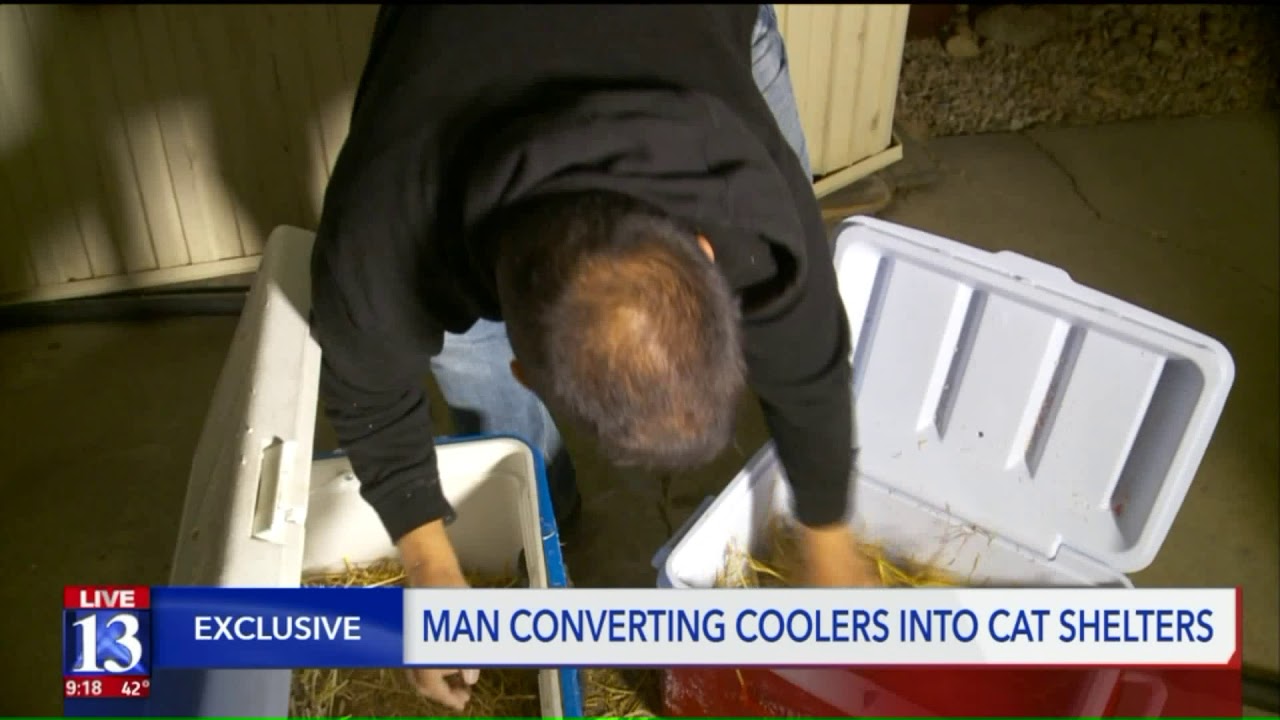 Man builds `Cat Coolers` to keep cats warm - YouTube