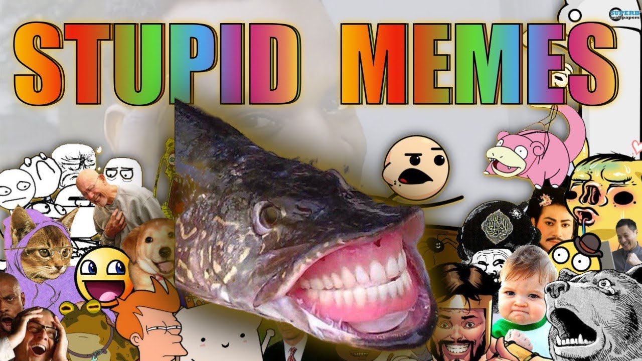 STUPID MEMES V3 - YouTube