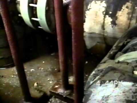 Footage of lolita the orca's disgusting tank
