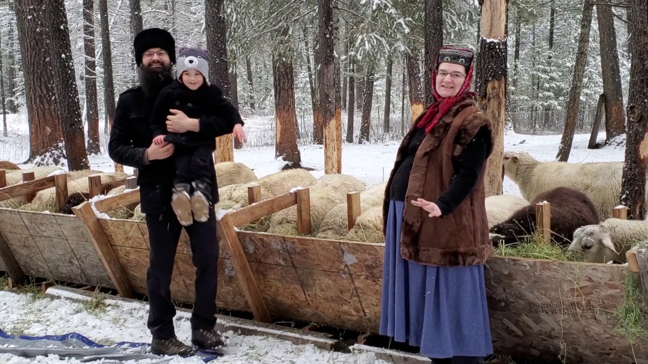 Nomad Shepherd: An Introduction to Our Sheep Farm of East Friesian and ...