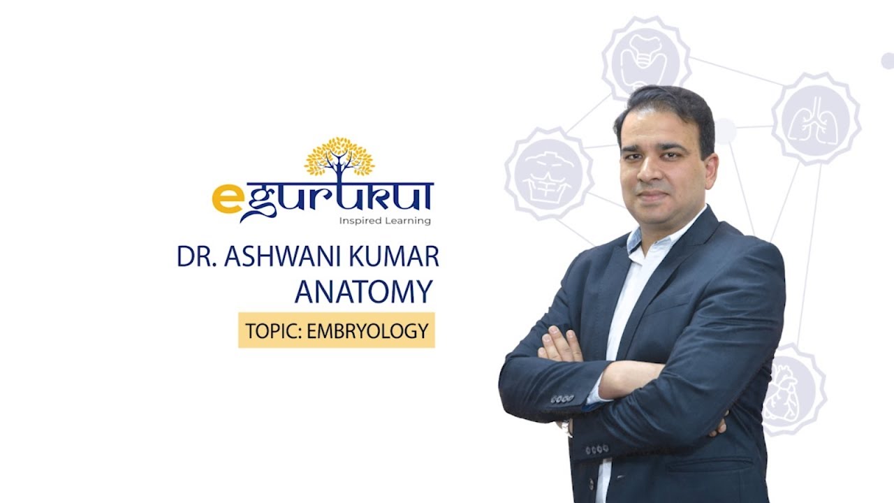 Embryology | Anatomy by Dr. Ashwani Kumar | Dr. Bhatia videos | DBMCI | - YouTube