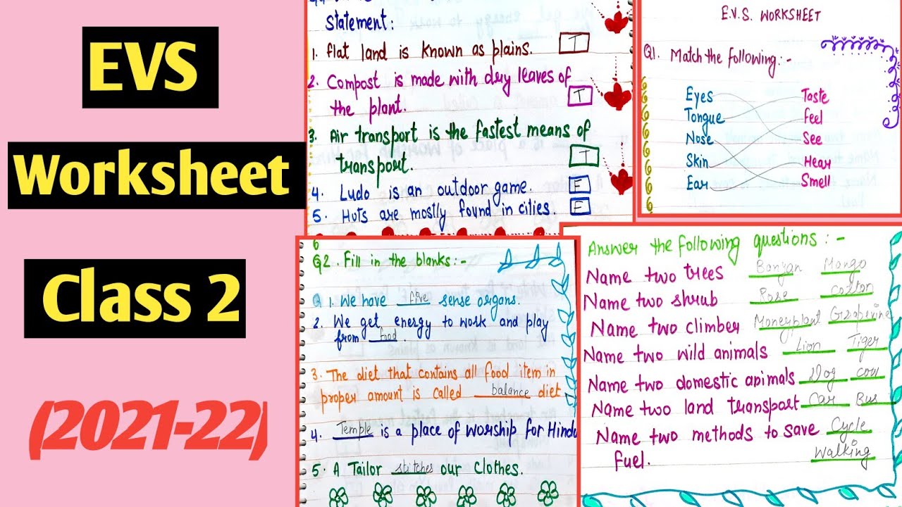 EVS Worksheet(2021-22) for class 2 /Part - 1 | EVS for class 2 | Class ...