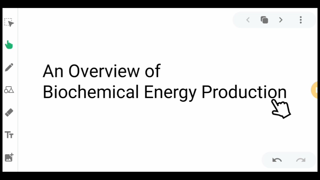 4 STAGES OF BIOCHEMICAL ENERGY PRODUCTION - YouTube
