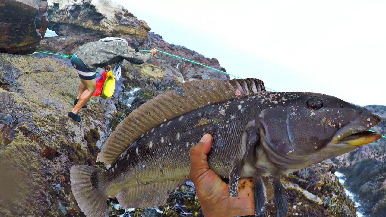 Regresamos a la Isla y Conseguimos Pescar Peces Extraños - YouTube