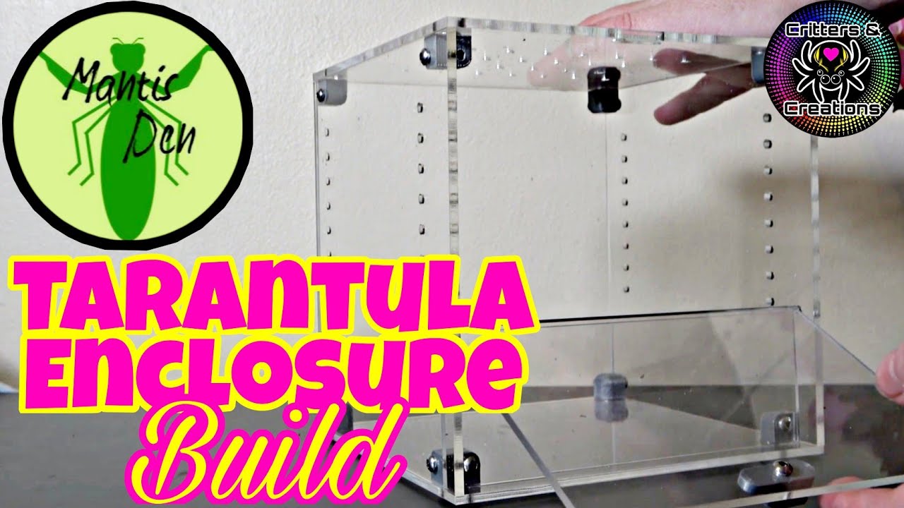 Mantis Den TARANTULA ENCLOSURE Build ~ (15x15x15cm) 🛠 - YouTube