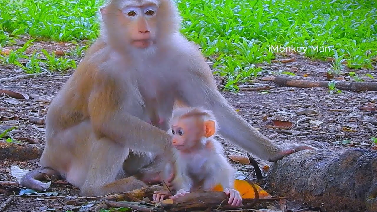 Rose looking hungry food! So much adorable baby Robin! very active baby ...