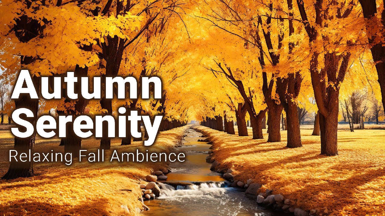 Relaxing Fall Ambience 🍂 Flowing Water, Gentle Rustling Leaves & Wind ...